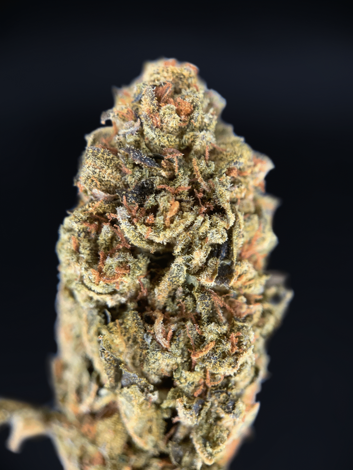 Alien OG – Indica - Flash Oz Deal - Exotic Blooms Delivery - DC Weed ...
