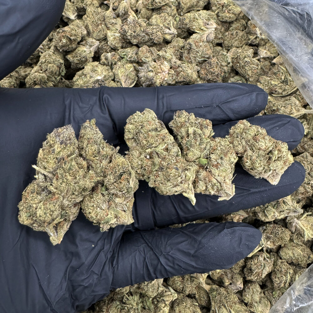 Titty Sprinkles - Indica - Oz Deal - Exotic Blooms Delivery - DC Weed ...