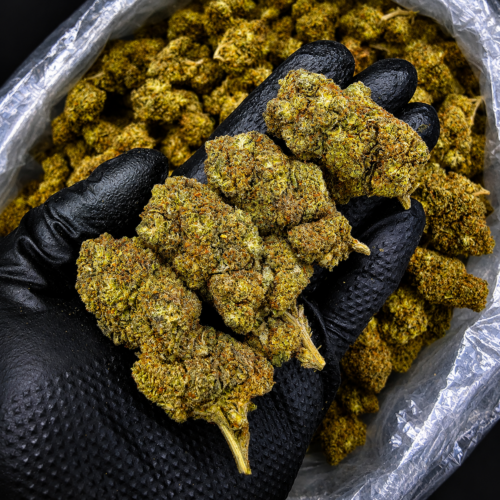 Blueberry Kush Mint - Indica - Oz Deal - Exotic Blooms Delivery - DC ...