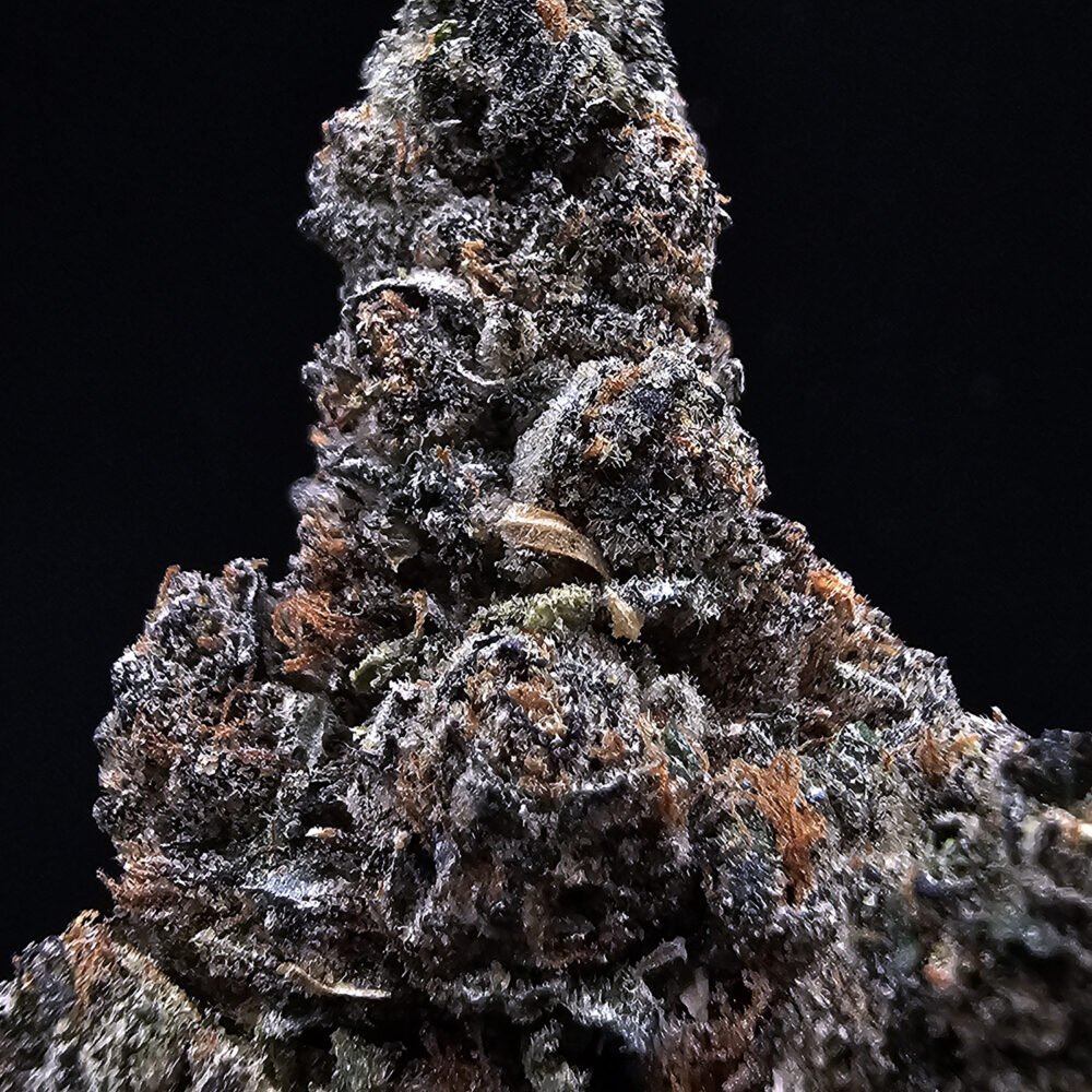 Rainbow Zkittlez - Hybrid - Private Reserve - Exotic Blooms Delivery ...
